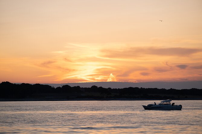 Dolphin & Sunset tour with Brijuni panorama - An In-Depth Look at the Experience