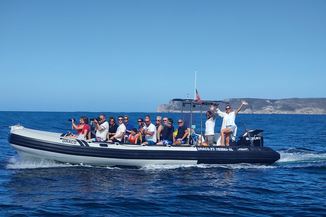 Dolphin Watching and Boat Tour in Sesimbra - An In-Depth Look at the Dolphin Watching Tour