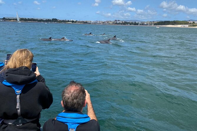 Dolphin Watching in Lisbon - Exploring the Itinerary and Experience