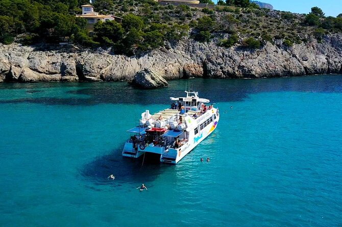 Dolphin Watching in Majorca - A Practical Look at the Mallorca Dolphin Watching Tour