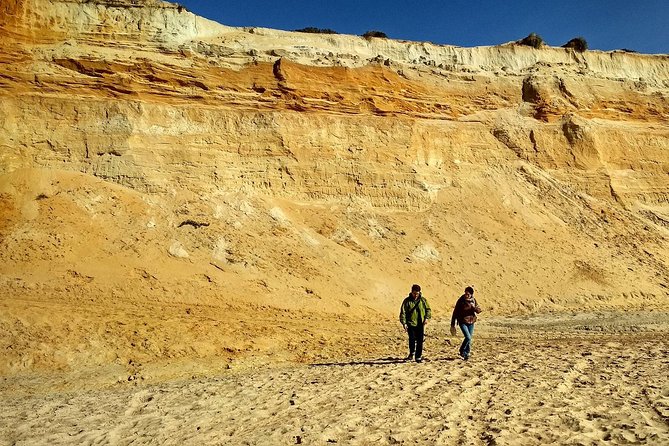 Donana National Park and El Rocío: Guided Tour from Seville - Discovering Doñana: An Introduction to the Tour