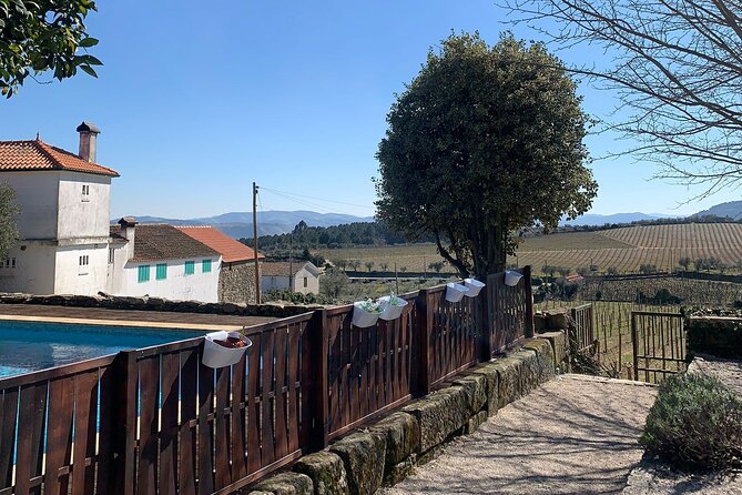 Douro Full Day Tour with Wine Tasting and Lunch - A Closer Look at the Itinerary