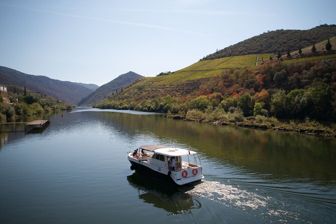 Douro River Cruise - Private River Cruise - Pinhão 1 Hour - An In-Depth Look at the Douro River Private Cruise