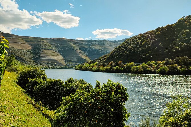 Douro | Roots & History - Tour with a local - An Authentic Look at the Douro Valley