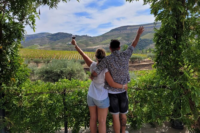 Douro Valley private day tour from Porto - Exploring the Douro Valley: What to Expect on the Tour