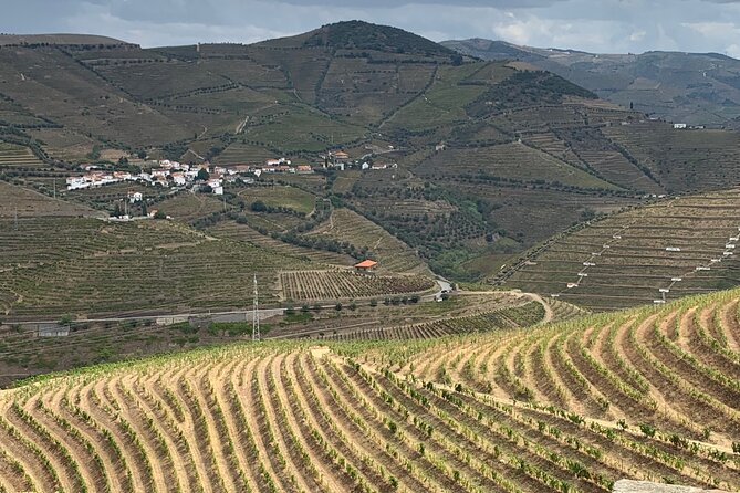 Douro Valley private tour includes wine tasting and boat trip - The Journey Begins: From Porto to the Douro Valley