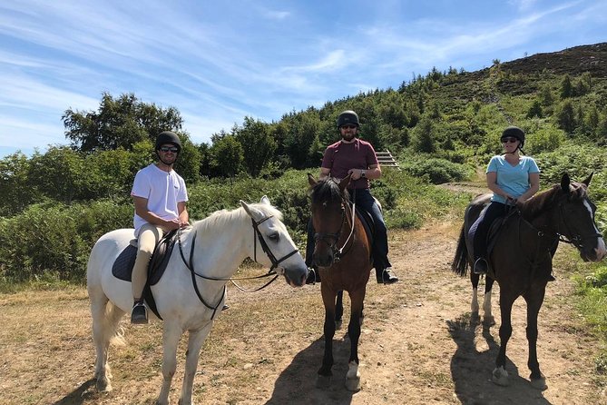 Dublin to Wicklow, Glendalough Small Group Tour with Horse Riding - Lunch and Village Charm in Enniskerry