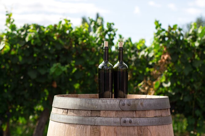 Dubrovnik Private Walking Tour and Wine - A Closer Look at the Dubrovnik Private Tour Experience