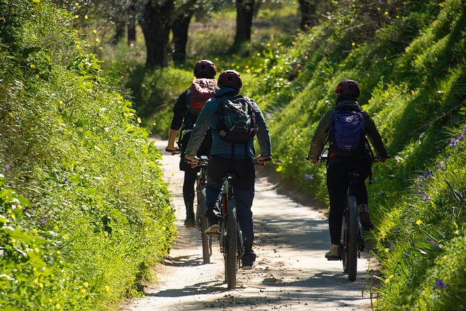 E-Bike Kalamata Olive Routes - The Value and Practicalities