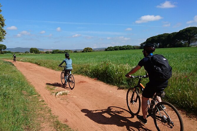 e-Bike (Self-Guided) & Winery tour - 20km Easy - A Well-Balanced Adventure Through Ronda’s Countryside