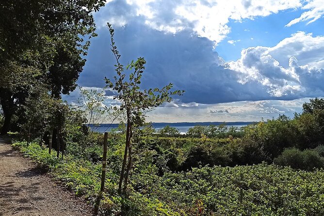 E-Bike Tour and Wine Tasting from Bardolino - What to Expect from the E-Bike Tour and Wine Tasting Experience