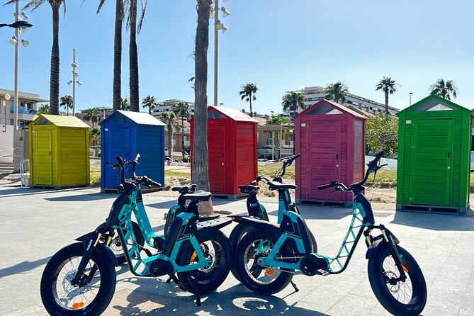 E-bike Tour: Beaches, & City of Arts and Sciences (From 30,00) - A Detailed Look at the Itinerary and What You’ll Experience