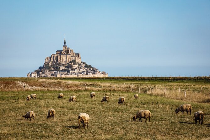 E-Bike Tour to Mont Saint Michel // Private guided tour - Analyzing the Value
