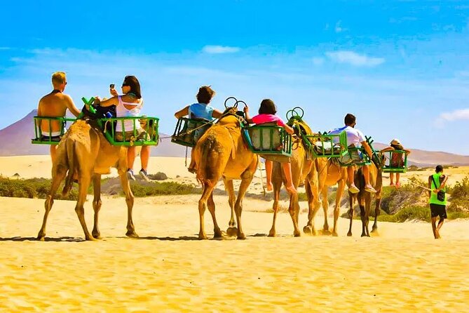 E-Bike Tour with Camel Safari through the Maspalomas Sand Dunes - A Deep Dive Into the Experience