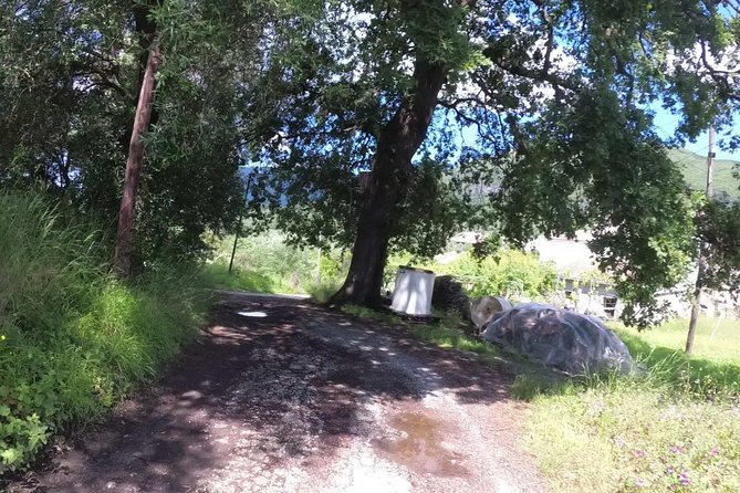 e-MTB Tour - Analipsis Area [42Km - 26Mi] - How Does the Price Stack Up?