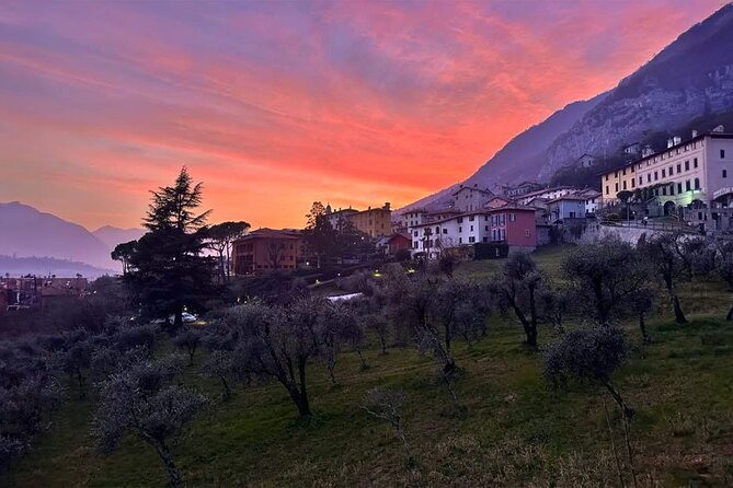 E.V.O. oil of Lake Como tasting+ food pairings - In-Depth Look at the Tour Experience