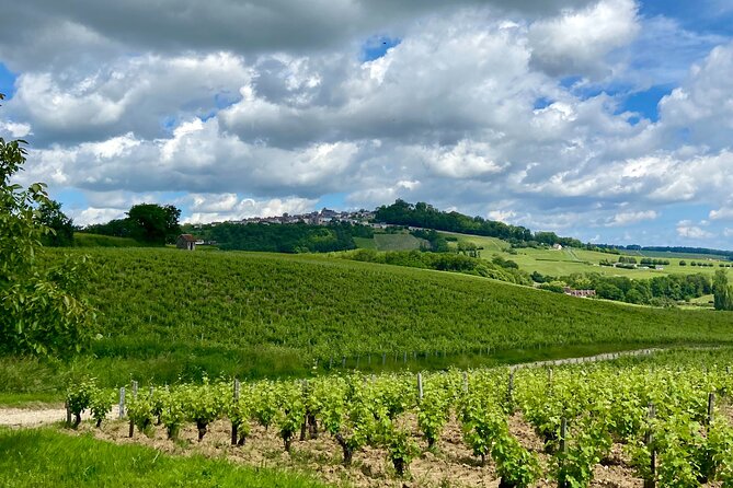 Eco Circuit to Discover Sancerre - A Closer Look at the Eco Circuit Experience