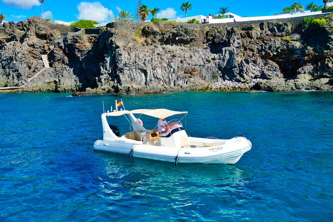 Eco Tour in the South of Tenerife with Snorkeling and Bathing Included - A Closer Look at the Tenerife Eco Tour: What’s Included and How It Works
