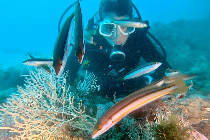 Eco - Try Dive - Key Points