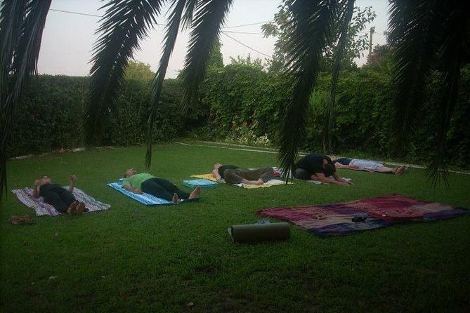 eco yoga section with snaks all included from Katakolo port - Detailed Breakdown of the Itinerary