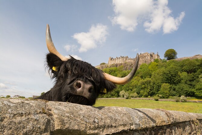 Edinburgh: Loch Lomond, Stirling Castle and the Kelpies Day Tour - What Makes This Tour Stand Out?