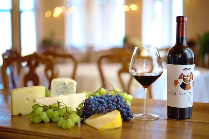 Edoardo Miroglio Private Boutique Winery Tour - What Do The Reviews Say?