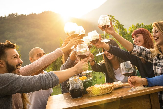 Eger Private Full-Day Wine Tasting Tour and Sightseeing from Budapest - What Travelers Are Saying