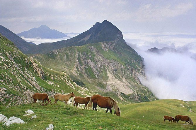 El Camino and the Pyrenees Private Day Tour from St-Jean-Pied-de-Port To Roncesvalles - Final Thoughts: Is It Worth It?