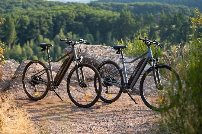 Electric Bike Rental on Camino de Santiago - Key Points