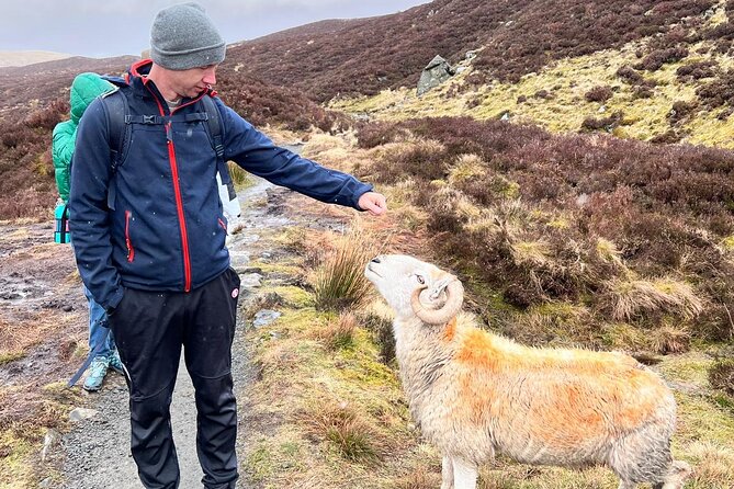 English Speaking Homestay Exploring Edinburgh and National Parks - What Travelers Say
