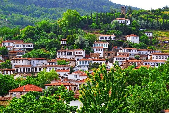 Ephesus Tour from Kusadasi Port  GUARANTEED OF NO SHOPPING STOPS - Practical Tips for Future Travelers