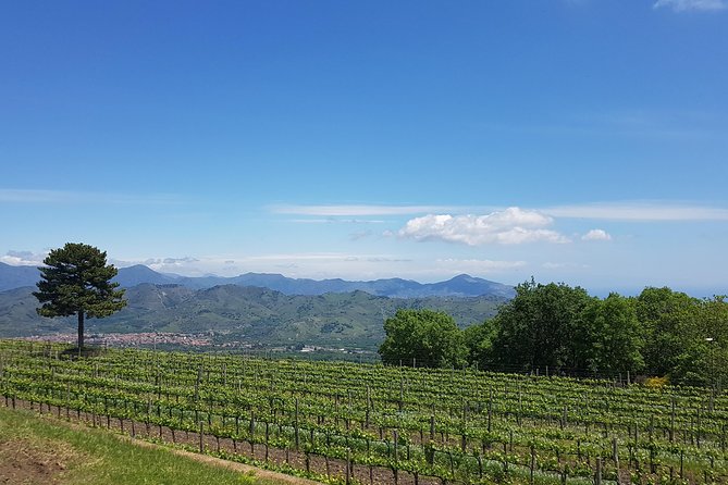 Etna Classic & Winery (day trip) - Key Points