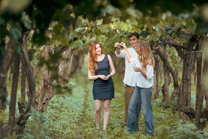 Etna Countryside Food & Wine Lovers Tour (Small Group or Private) - The Itinerary: What to Expect
