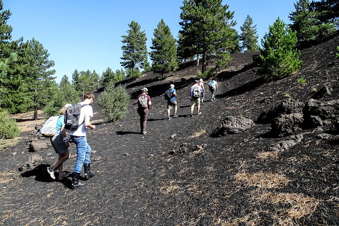 Etna Morning Tour, caves and craters - Key Points