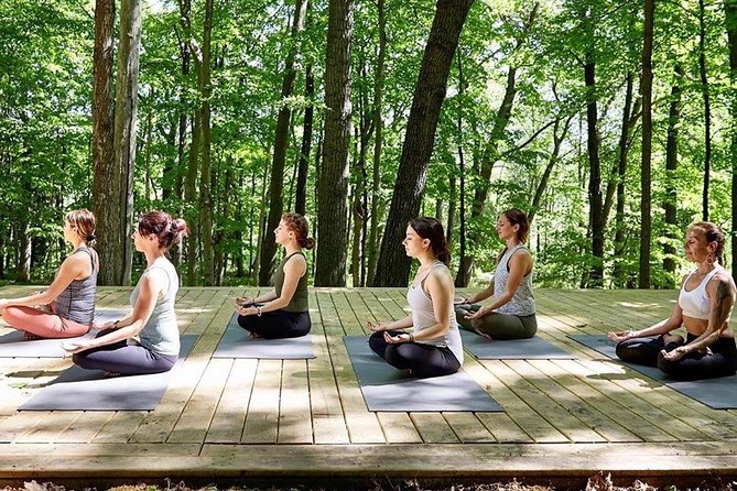 Etna Volcanic Yoga and Meditation - Private Experience - The Itinerary: What You Can Expect