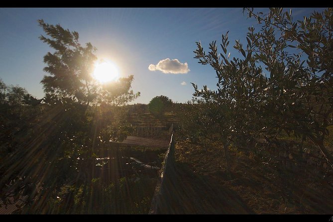 Etna Volcanic Yoga and Meditation Weekend (Private Experience) - The Experience: What You Can Expect Over 3 Days