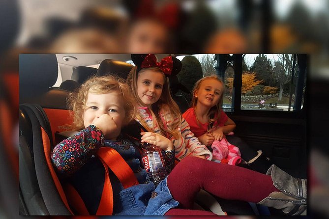 Euro Disney - CDG (One Way) Private Shuttle Transfer - Key Points