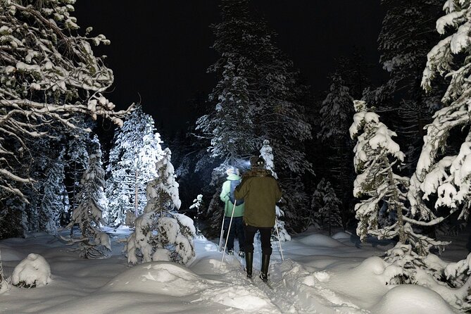 Evening Ski Trek to the Wilderness - Extra Small group - An Authentic Night in the Finnish Wilderness