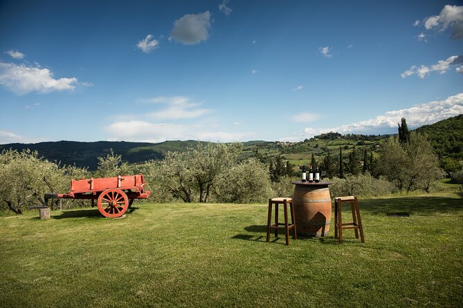 Exclusive Lunch Tour and Wine tasting at a Chianti Classic Winery - A Scenic Drive to Panzanello — Setting the Scene