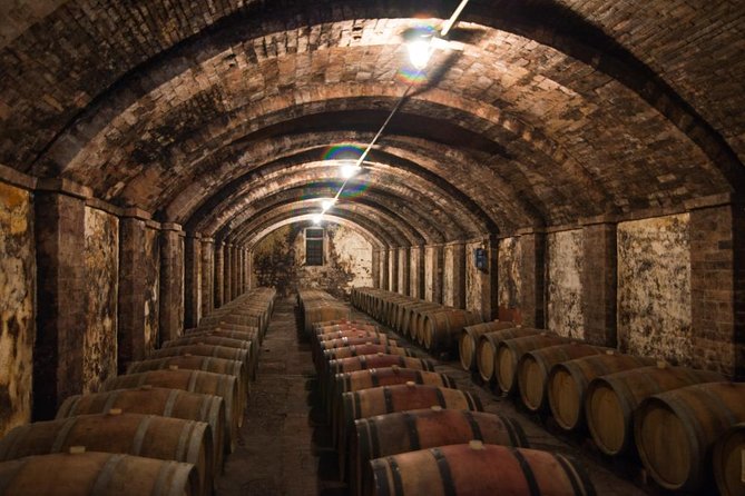 Exclusive Pisa and Wine Tour - A Closer Look at the Pisa and Wine Tour Experience