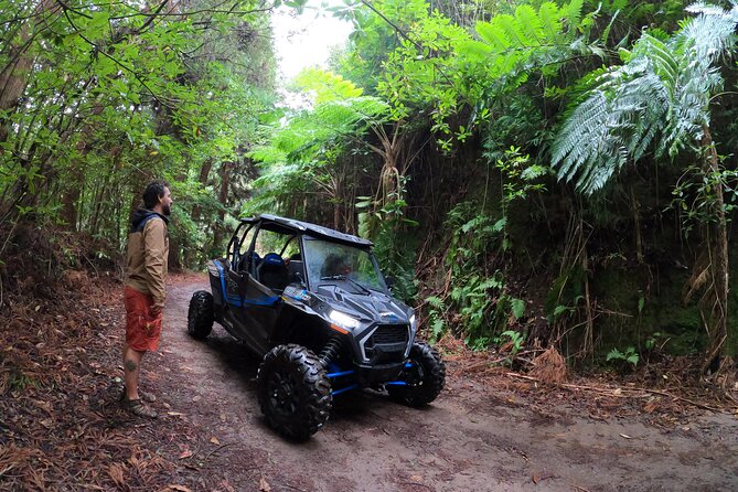Exclusive Private Buggy Adventure: Forest and Mountains - Detailed Itinerary Breakdown