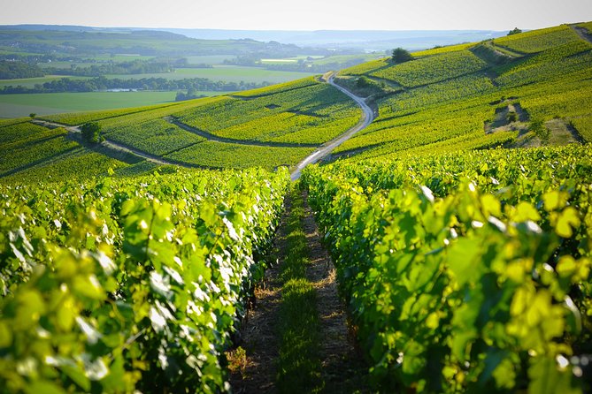 Excursion to the Champagne region and Wine Tasting - The Experience in Context