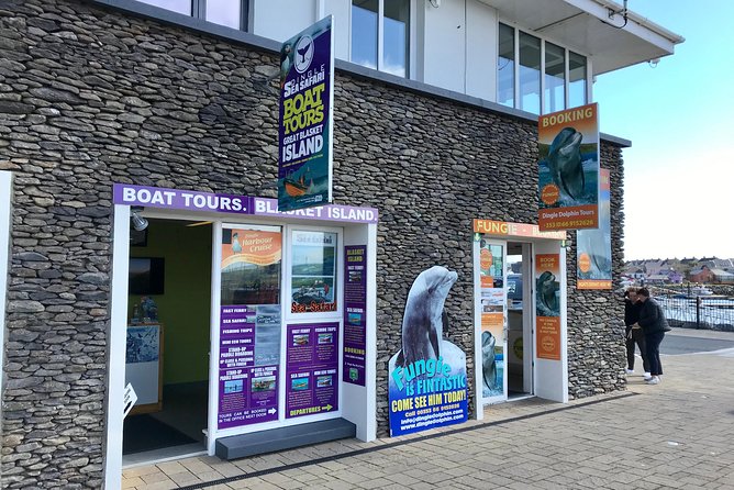 Exhilarating Rib experience - Dingle sea safari - What’s the Experience All About?