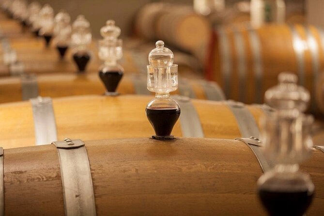 Experience Emilian Wines at Bologna Vineyard Vista - An Authentic Taste of Emilia-Romagna: What to Expect