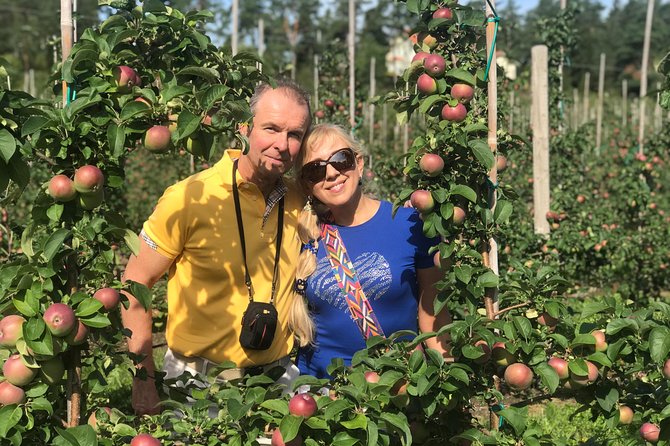 Experience the Best of Åland with a Private Guided Tour - The Sum Up