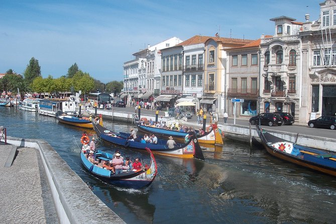 Explore Porto & Aveiro within Riverboat Cruises - Private Full Day Tour from Lisbon with Lunch - Transport and Comfort