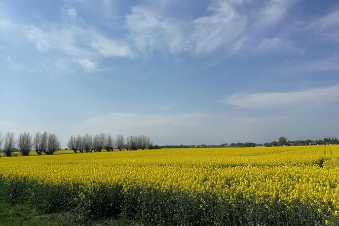 Explore the Instaworthy Spots of Malmö with a Local - A Closer Look at the Itinerary