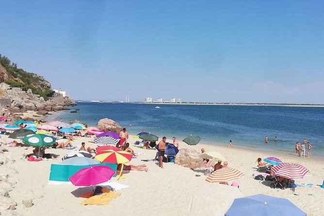 Family Beach day in Region of Lisbon - Setúbal - Pricing and Value