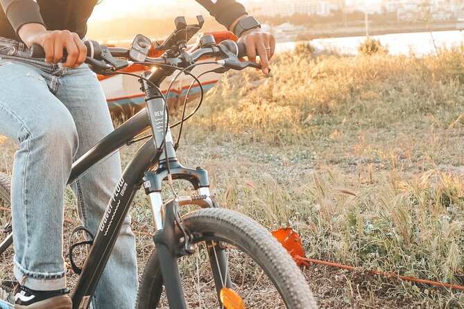 Fat Bikes, e-bikes & Bikes in Ferragudo - Why the Reviews Are So Positive