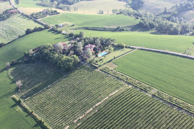 Felsina Culinaria - Personalised Private Cooking Course - A Closer Look at the Experience